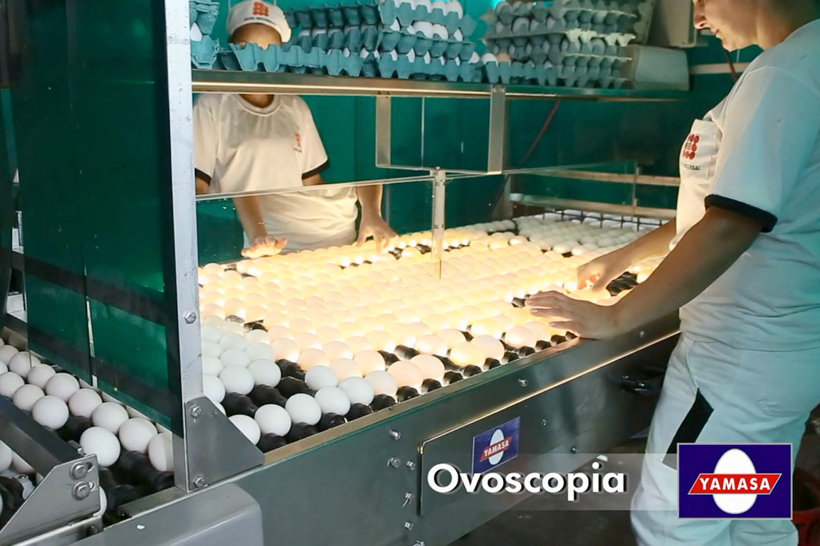 Produtos - Ovoscopia Modelo OV-6